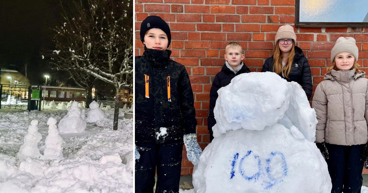 Elever i Matfors byggde 100 snögubbar på en dag | SVT Nyheter