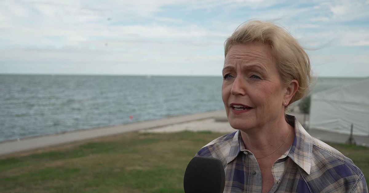Thand Ringqvists (C) plan för att slippa Vänsterpartiet – Marmorstein ...