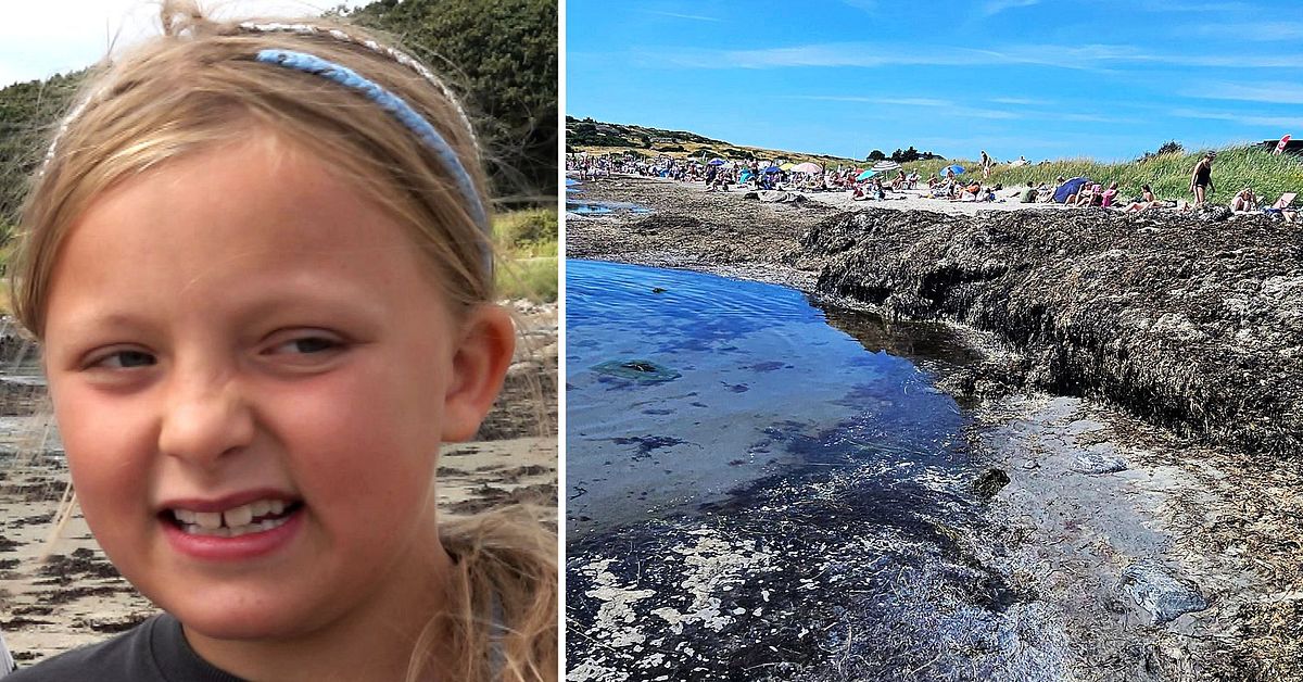 Många åsikter om tång på de halländska stränderna – därför vill ...