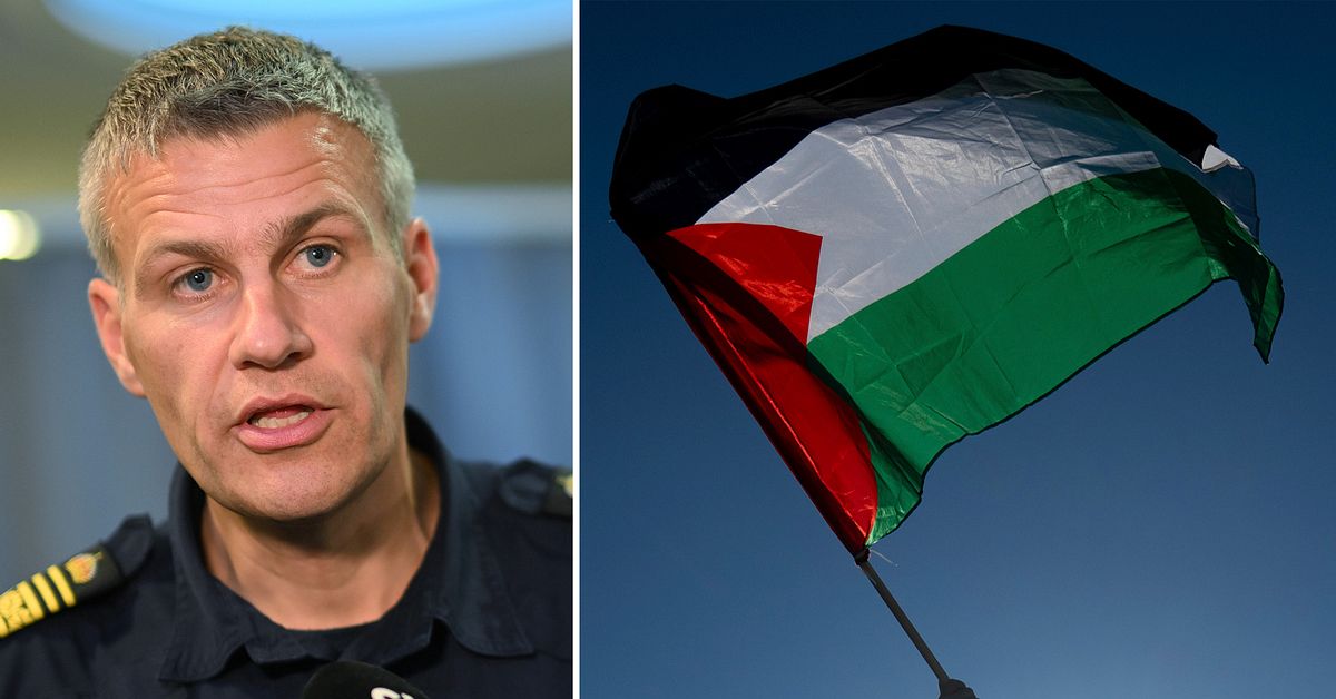 Höjd säkerhet i centrala Borås – propalestinsk demonstration flyttas | SVT Nyheter
