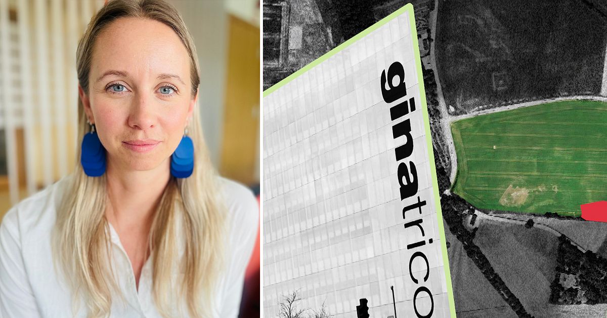 Efter SVT:s granskning av skogskampanjen – Gina Tricot och Bianca ...