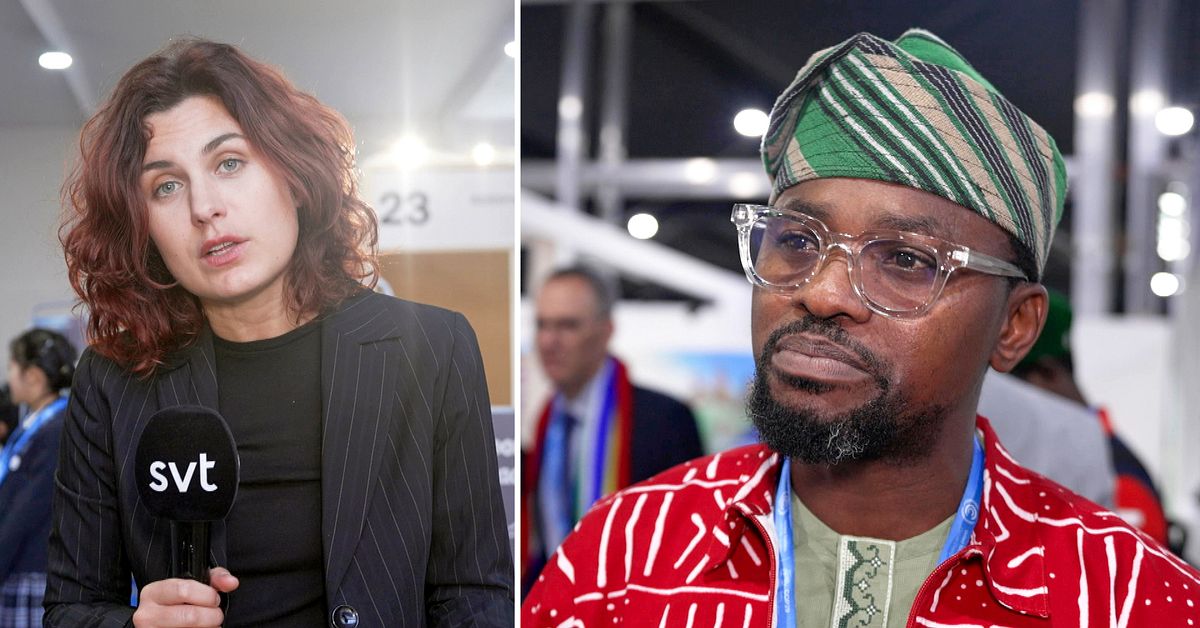 Chatt: Vad undrar du om FN:s klimatmöte COP29? | SVT Nyheter