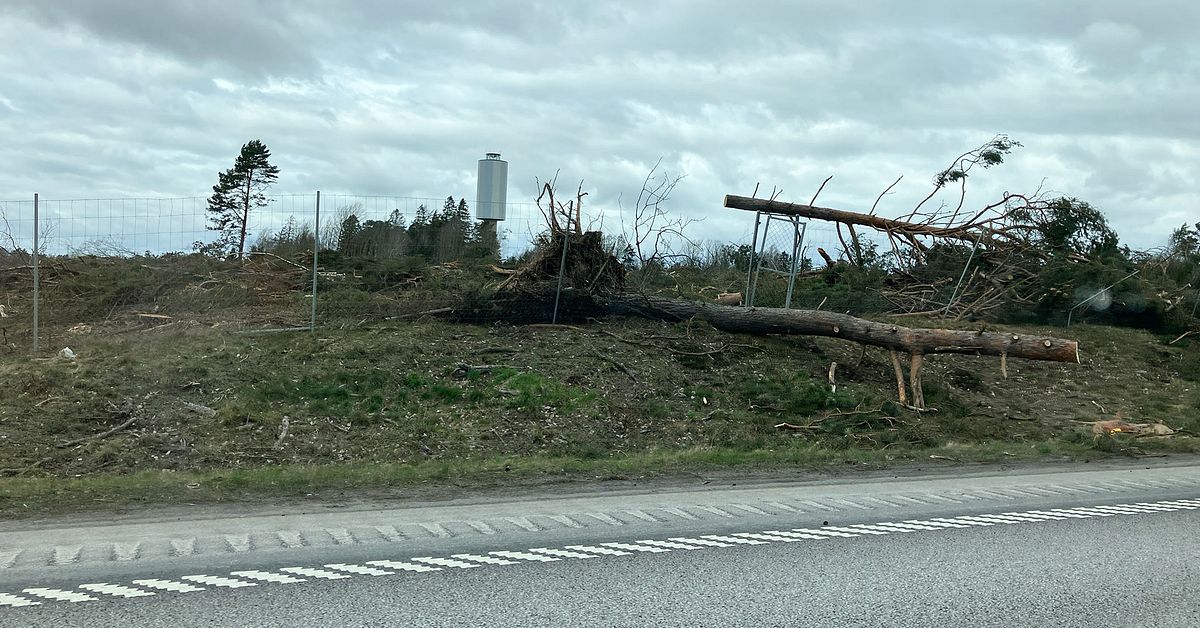 Kraftiga vindar och nedfallna träd skapar problem i trafiken | SVT Nyheter