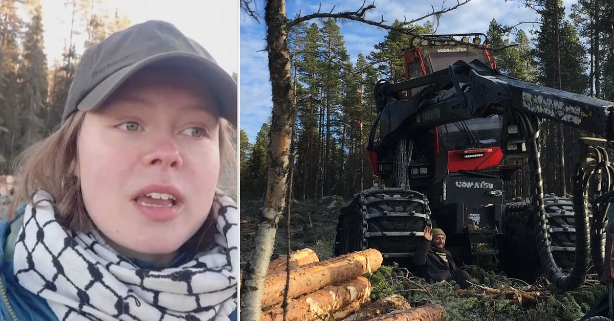 Aktivister stoppar avverkning – finns inom riskområde för skördare ...