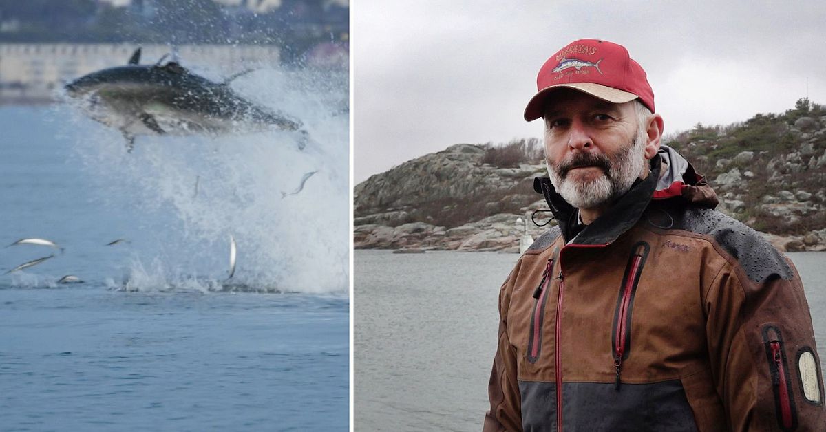 Martin är kung i fiskarnas rike – prisbelönte fotografen värnar om ...