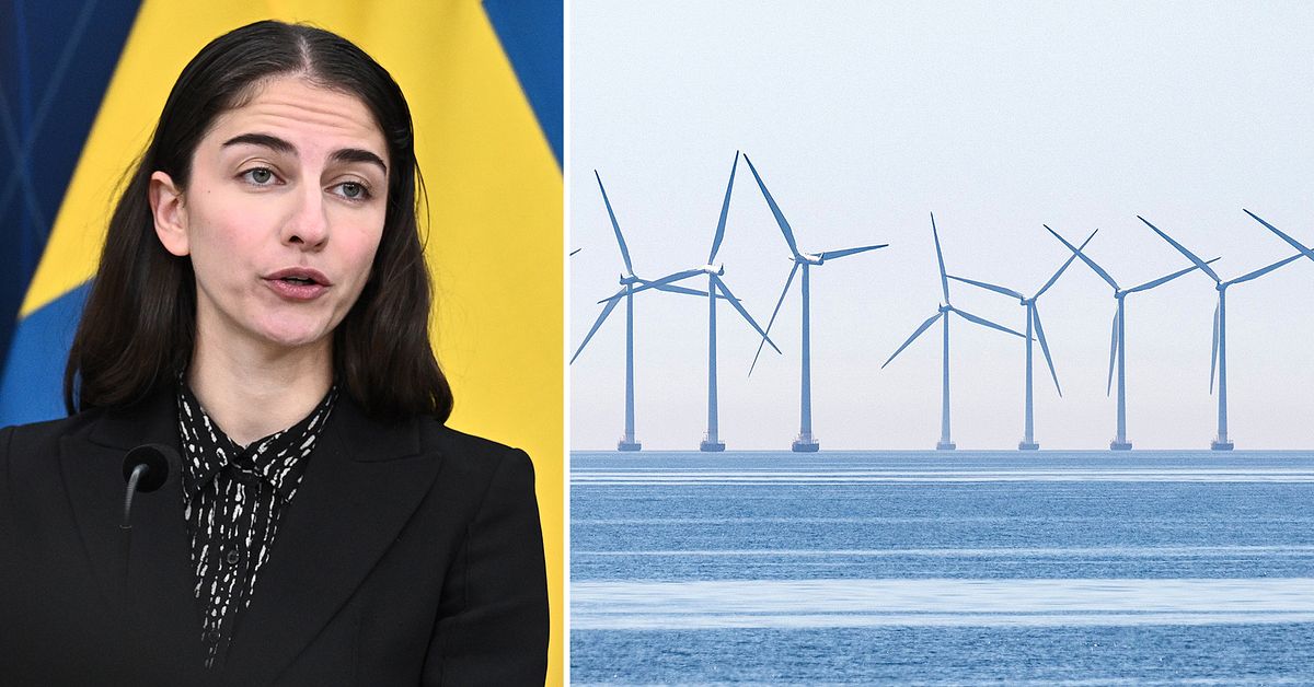 Regeringen säger nej till 13 havsbaserade vindkraftsparker | SVT Nyheter