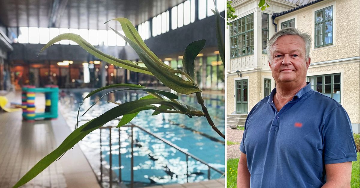Hedemoras kommunalråd Lennart Mångs (M) om simhallsfrågan: ”Var får vi ...