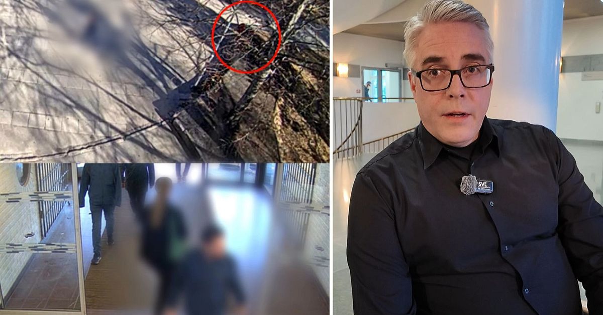 Umeå kommuns satsning – vill stoppa välfärdsbrotten | SVT Nyheter