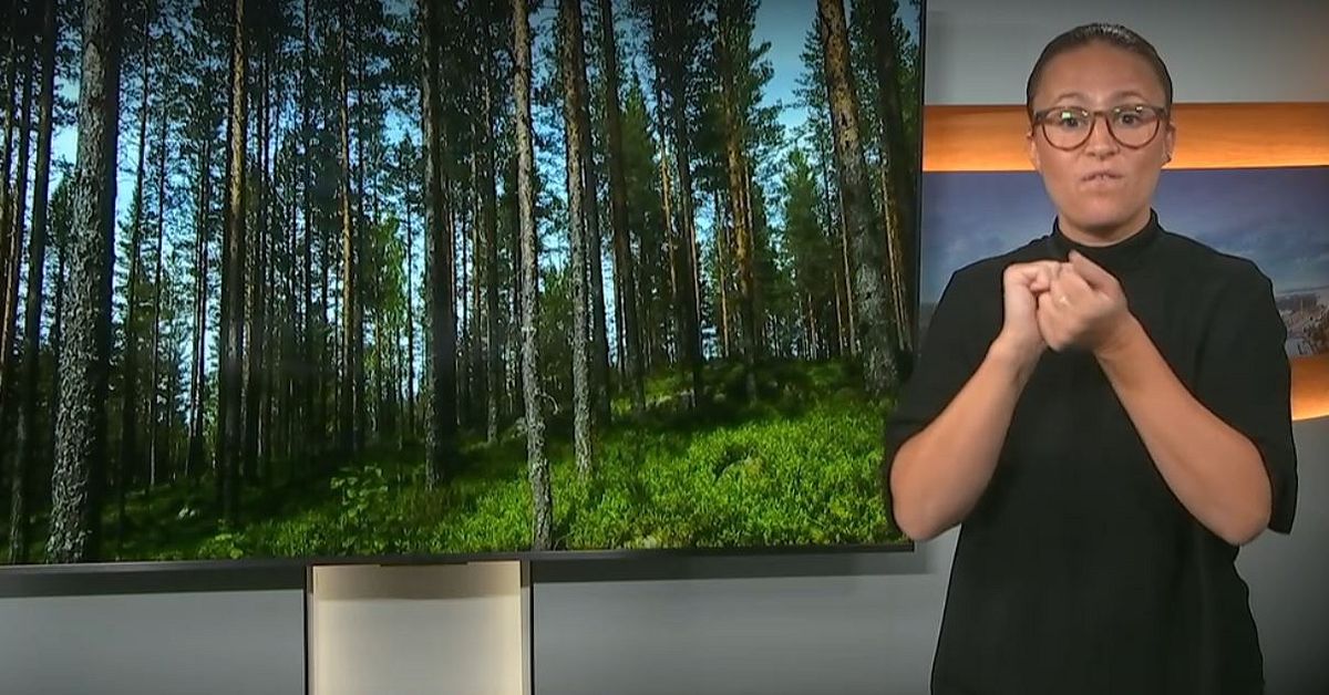 Trädens bark kan suga upp metan | SVT Nyheter