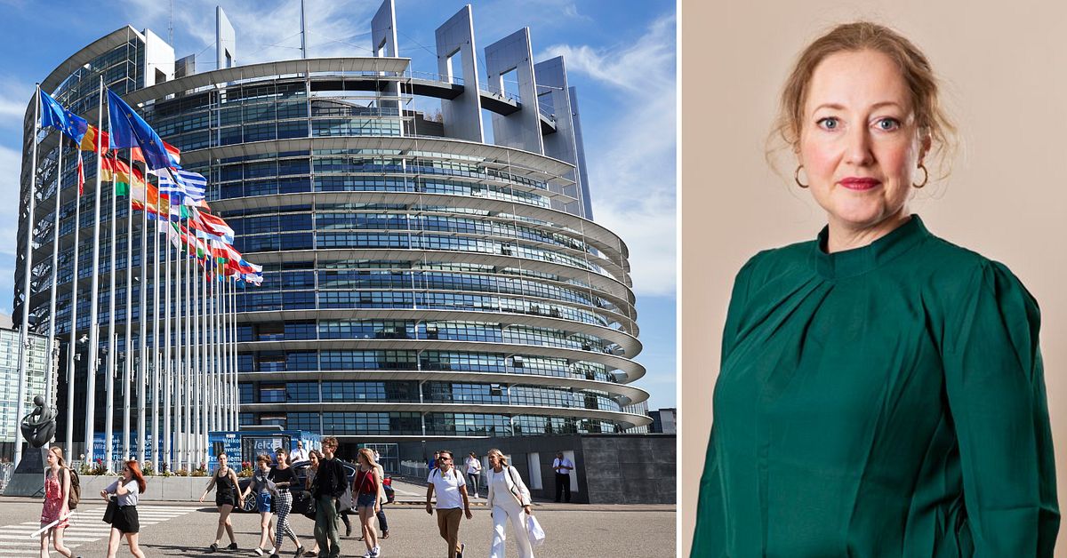 Hanna Gedin (V) från Malmö kan få plats i EU-parlamentet | SVT Nyheter