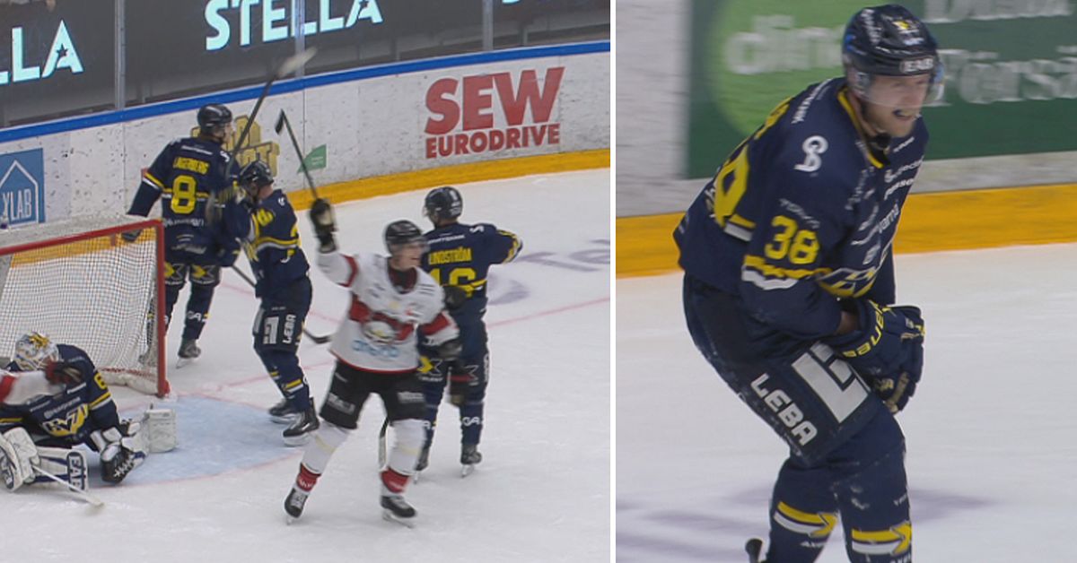 Ishockey: Olle Alsing slår sönder klubban i HV71-förlusten – gör illa ...