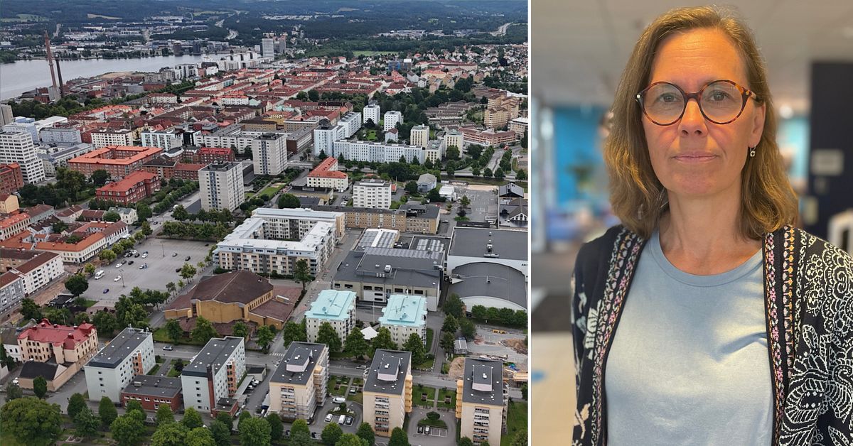 Stor ökning av orosanmälningar i Jönköpings kommun | SVT Nyheter