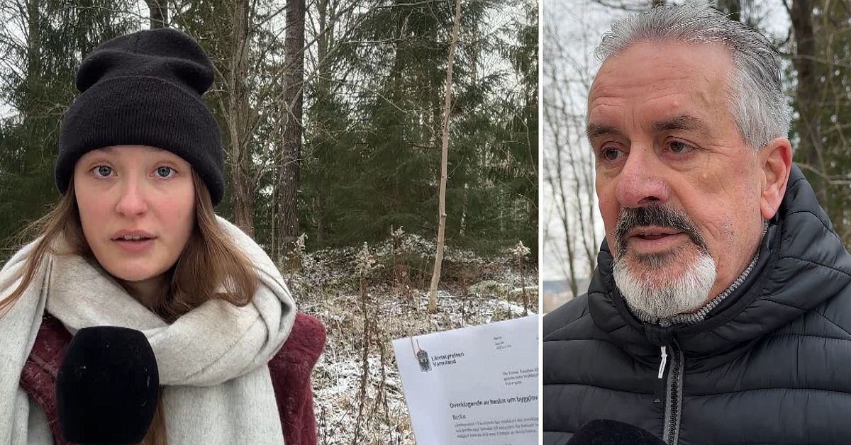 Länsstyrelsen upphäver beslut om nej till telemast | SVT Nyheter