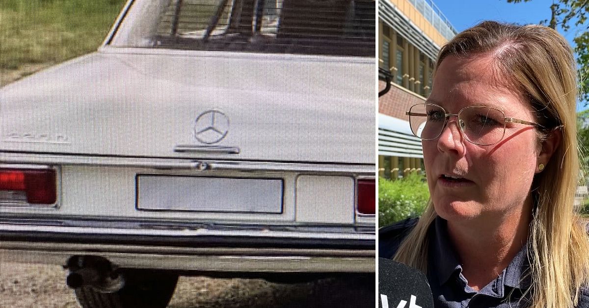 Polisen om nya uppgifterna i fallet Olle Högbom: ”Stämmer delvis ...