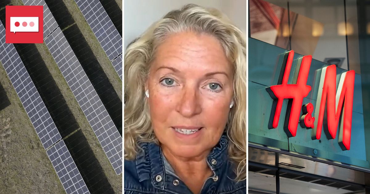 Sveriges största solcellspark invigs – all el köps upp av H&M | SVT Nyheter