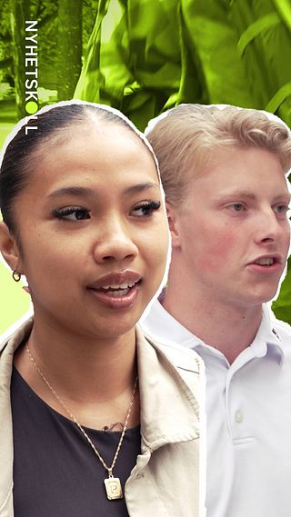 Hade mer pengar fått dig att göra lumpen? | SVT Nyheter