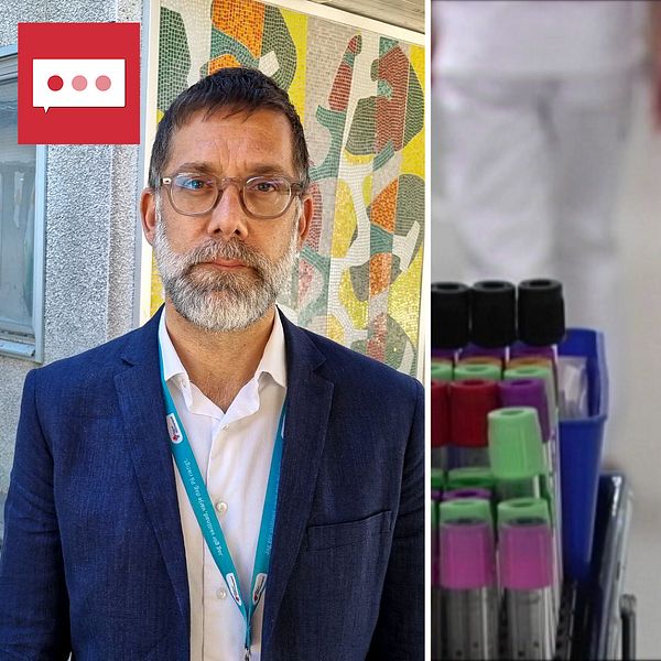 Kjell och Solveig hittade främmande snigel i trädgården i Virsbo – har ...