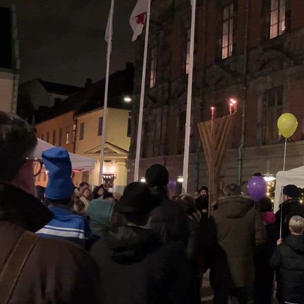 Från USA till Malmö – ”Kai Tak” en av tusentals furries i stan | SVT ...