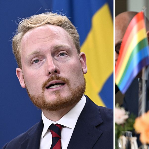 Aron Emilsson (SD) | SVT Nyheter