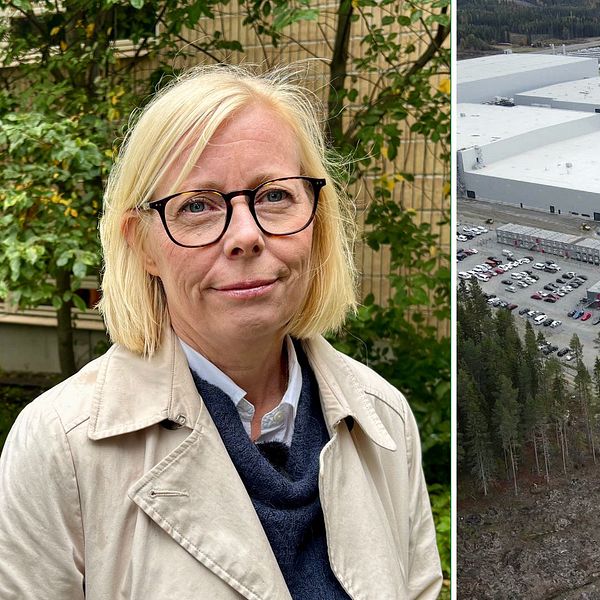 Revolt i Skellefteå stänger ned – personal får gå | SVT Nyheter