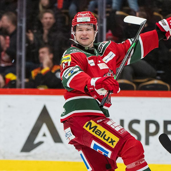 Ishockey: Dan Tangnes tar över Rögle BK | SVT Sport