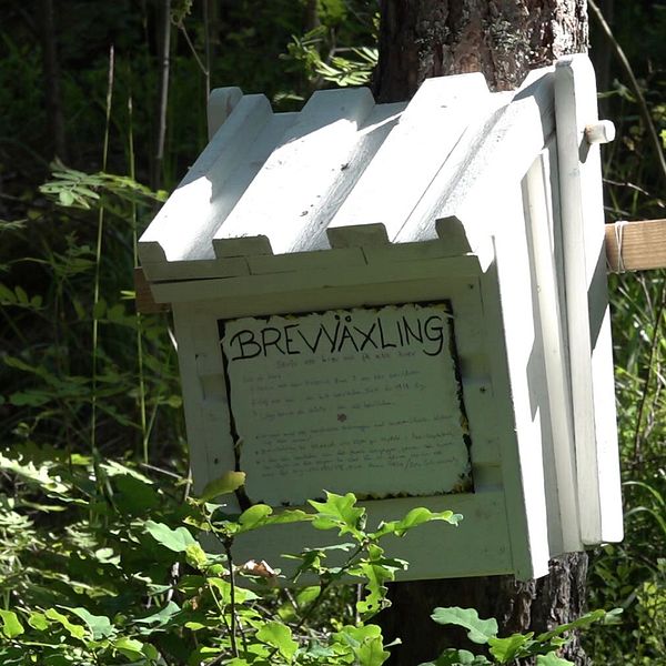 Afrosvenskar anklagar Socialdemokraterna i Sörmland för diskriminering | SVT Nyheter