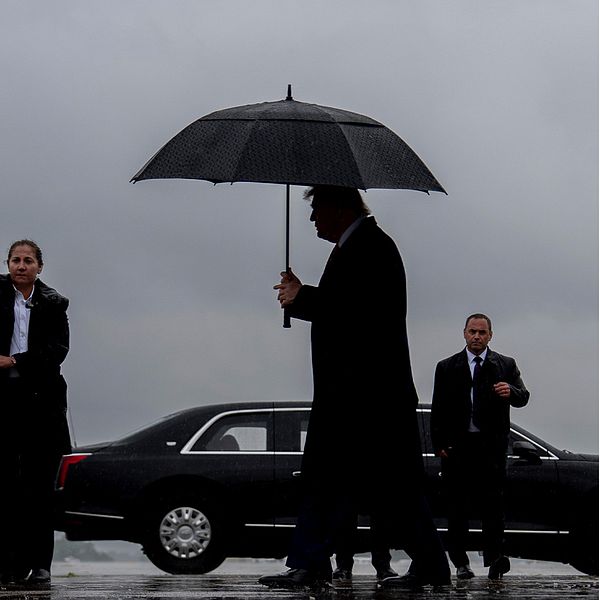 Historiskt skifte när Fred Wallenberg tar plats i Investor | SVT Nyheter