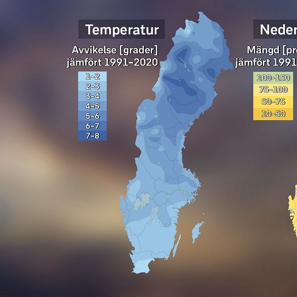 Analys: ”Februari 2026: Kallt och lugnt mest hela tiden” | SVT Nyheter