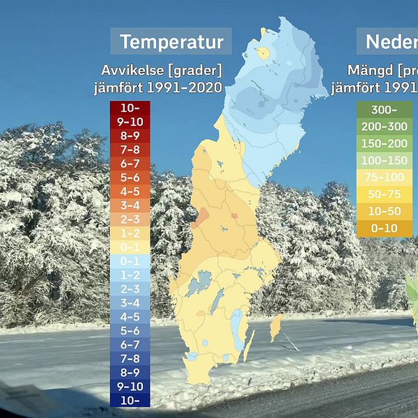 Analys: ”Oktober 2025: Milt höstväder med trevande vinterförsök” | SVT ...