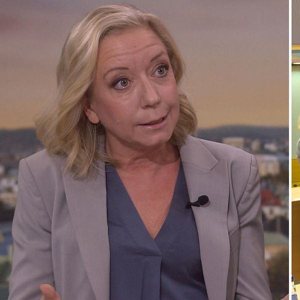 Elisabeth Marmorstein: "Sista akten i Natodramat" – Senaste nytt om ...