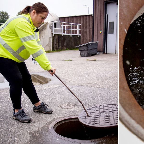 Här har 40 miljoner liter avloppsvatten pumpats ut i Storsjön | SVT Nyheter
