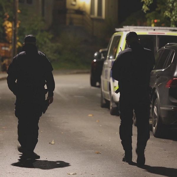 Tonårspojke Häktas Misstänkt För Morden I Tullinge Och Västberga Svt