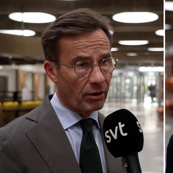 Ulf Kristersson | SVT Nyheter