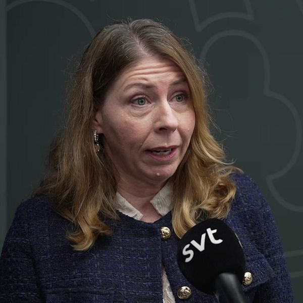 Niclas Kvarnström blir ny nationell säkerhetsrådgivare | SVT Nyheter