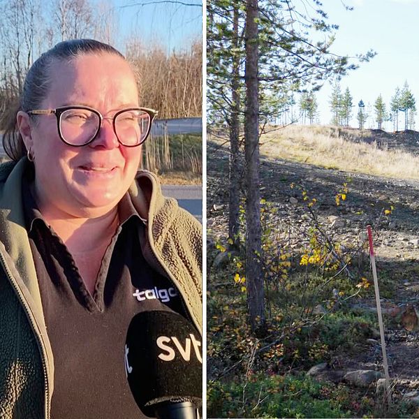 Elslukaren LKAB bromsar grön omställning | SVT Nyheter