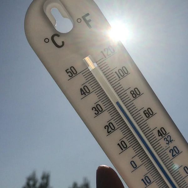 FHM: Sköra i Norrland drabbades hårdare av värmeböljan | SVT Nyheter