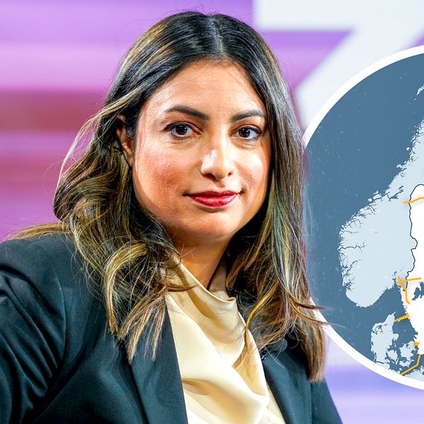 Nooshi Dadgostar (V) | SVT Nyheter