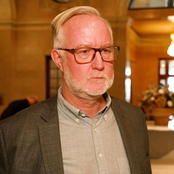 Sverigedemokraterna | SVT Nyheter