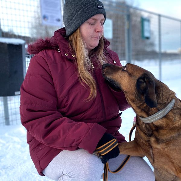 Hundrastgård i Nacksta i Sundsvall stängd – folk lämnar kvar hundbajs ...