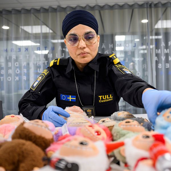 Bianca Ingrossos stalker-rättegång avslutad | SVT Nyheter