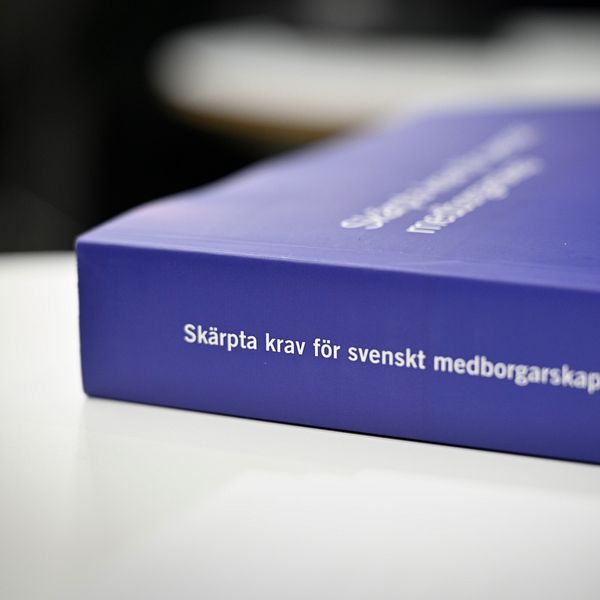 Erik drabbades av Swedbank-rådgivaren – blev av med en halv miljon ...