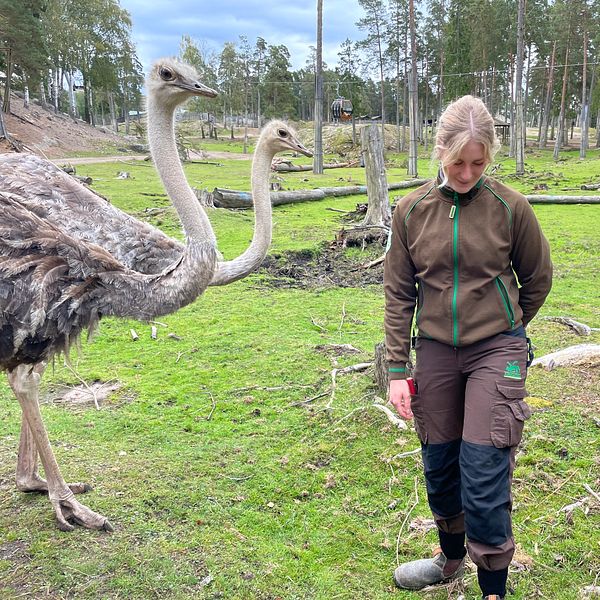 Tekniska verken satsar på säkert och hållbart datacenter i Mjärdevi ...