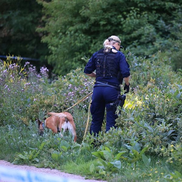 Stor Polisinsats I Östra Bäcklösa 20 åringar Misstänkta För Grovt