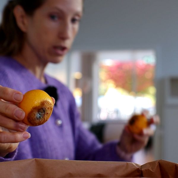 Här avrättades Zlatko Vulic – polisen ber om tips | SVT Nyheter