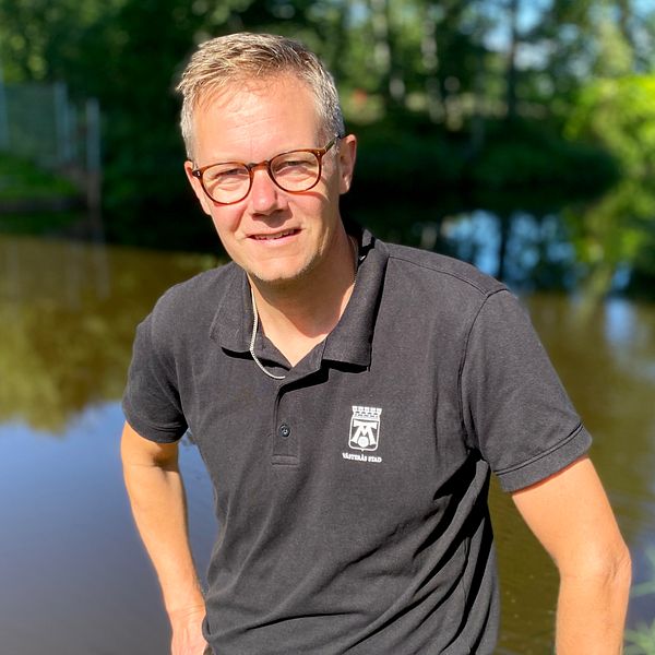 Nya träd ska minska risken för översvämning i Västerås – planteras på ...