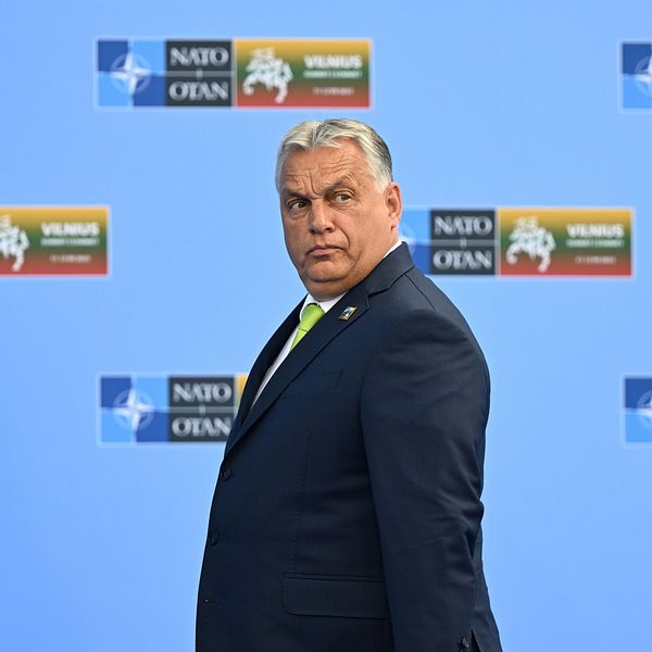 Utrikespolitik | SVT Nyheter