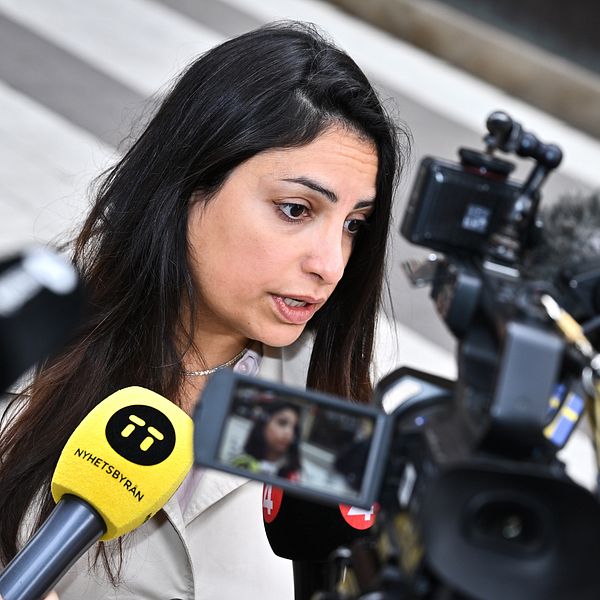 Bianca Ingrossos stalker-rättegång avslutad | SVT Nyheter