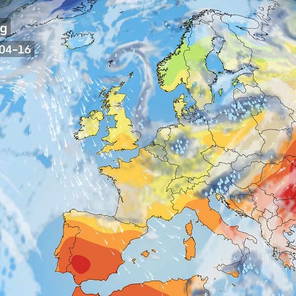 Solfilmen vecka 4 | SVT Nyheter