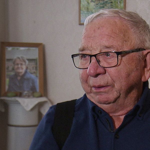 Nytt AI-program på Karlstads universitet – fått 1 800 ansökningar | SVT ...