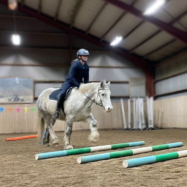 Här fylls ridhuset av färger – ska få fler att kunna delta | SVT Nyheter